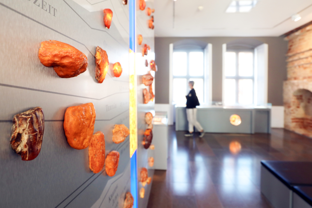 Deutsches Bernsteinmuseum - German Amber Museum