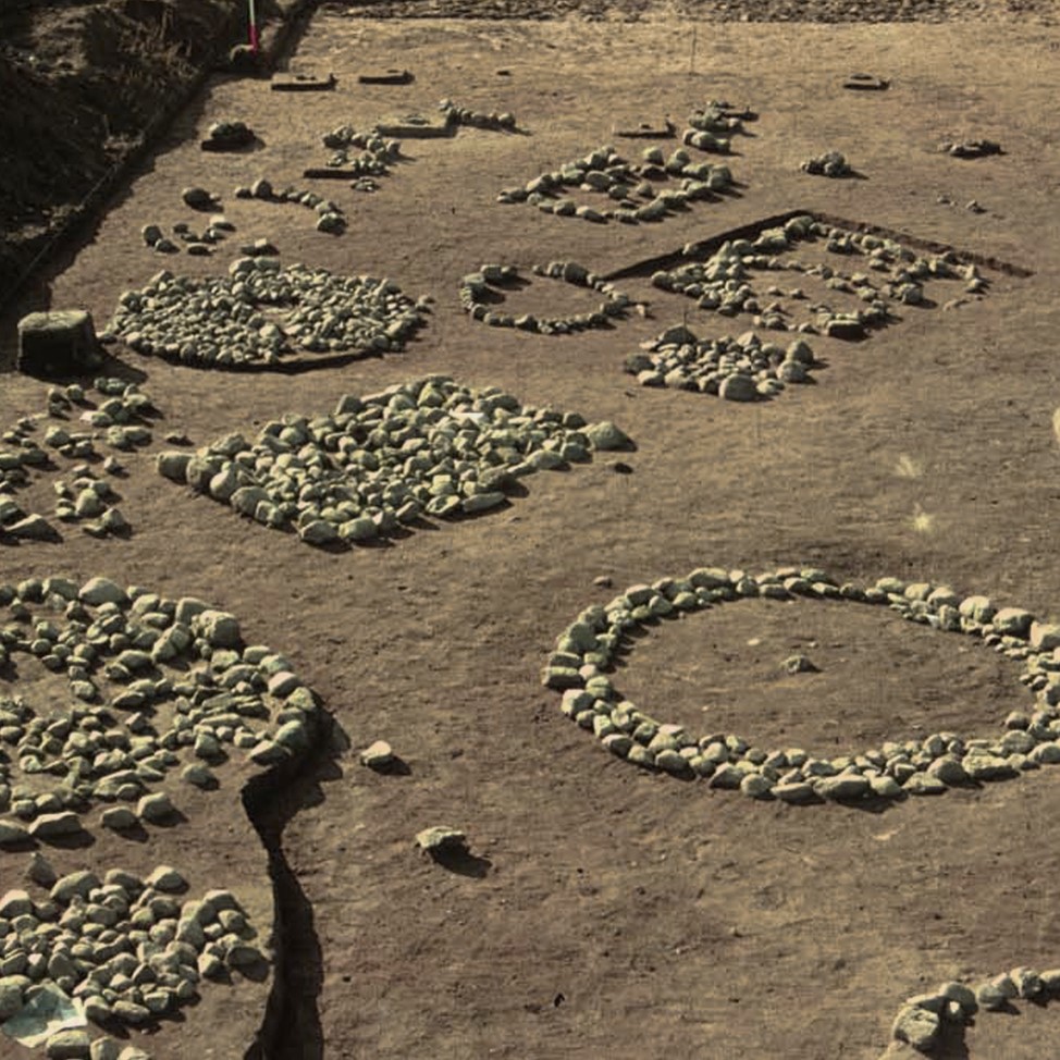 "Known and Unknown Bullheads."