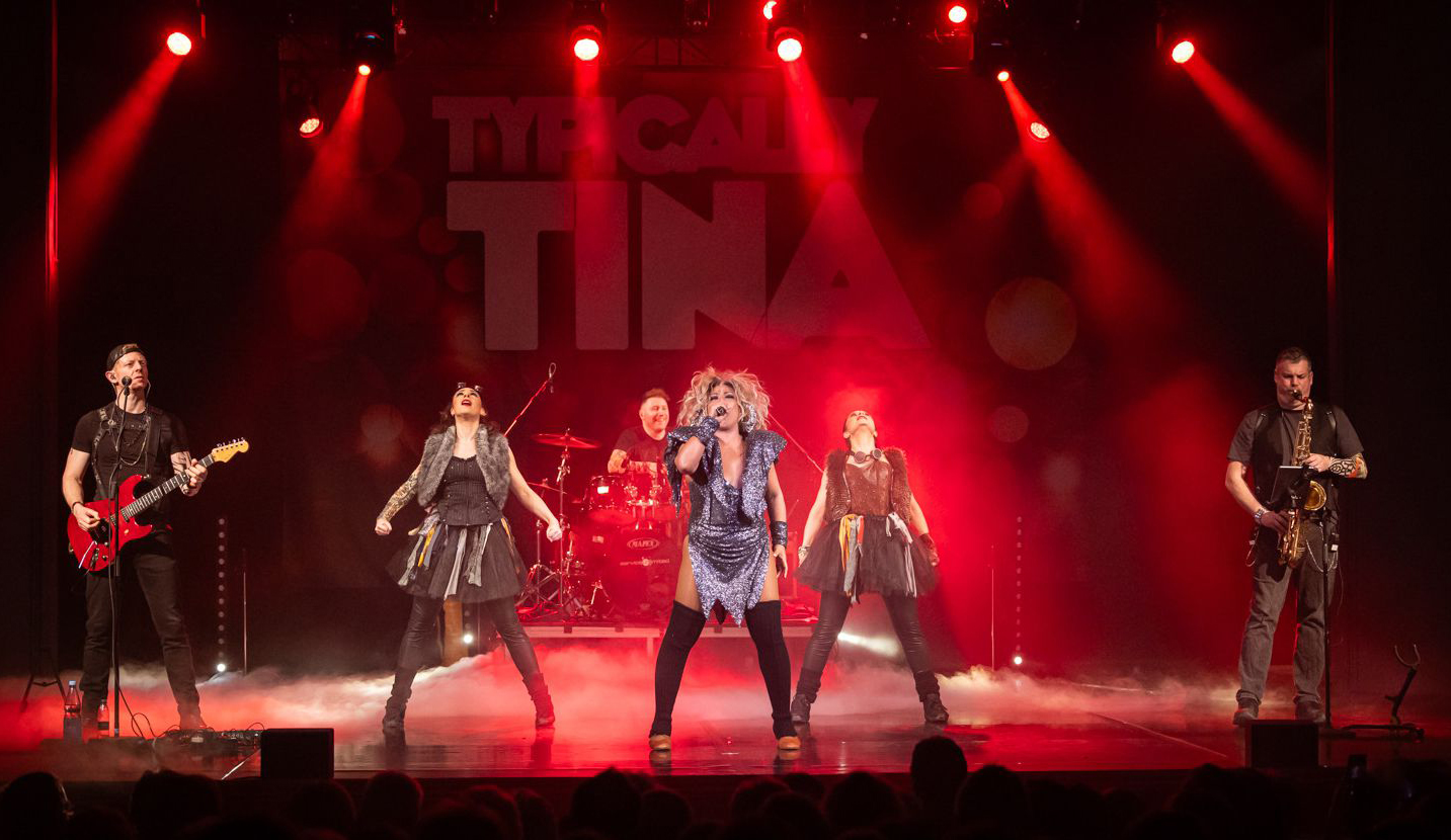 typically-tina-show, Tina Turner