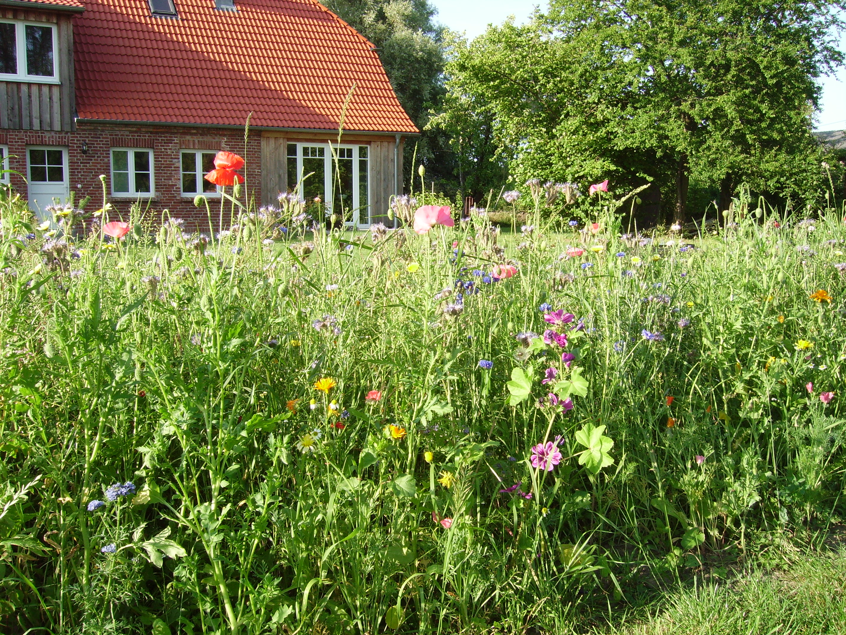 GALERIE PL Hessenburg