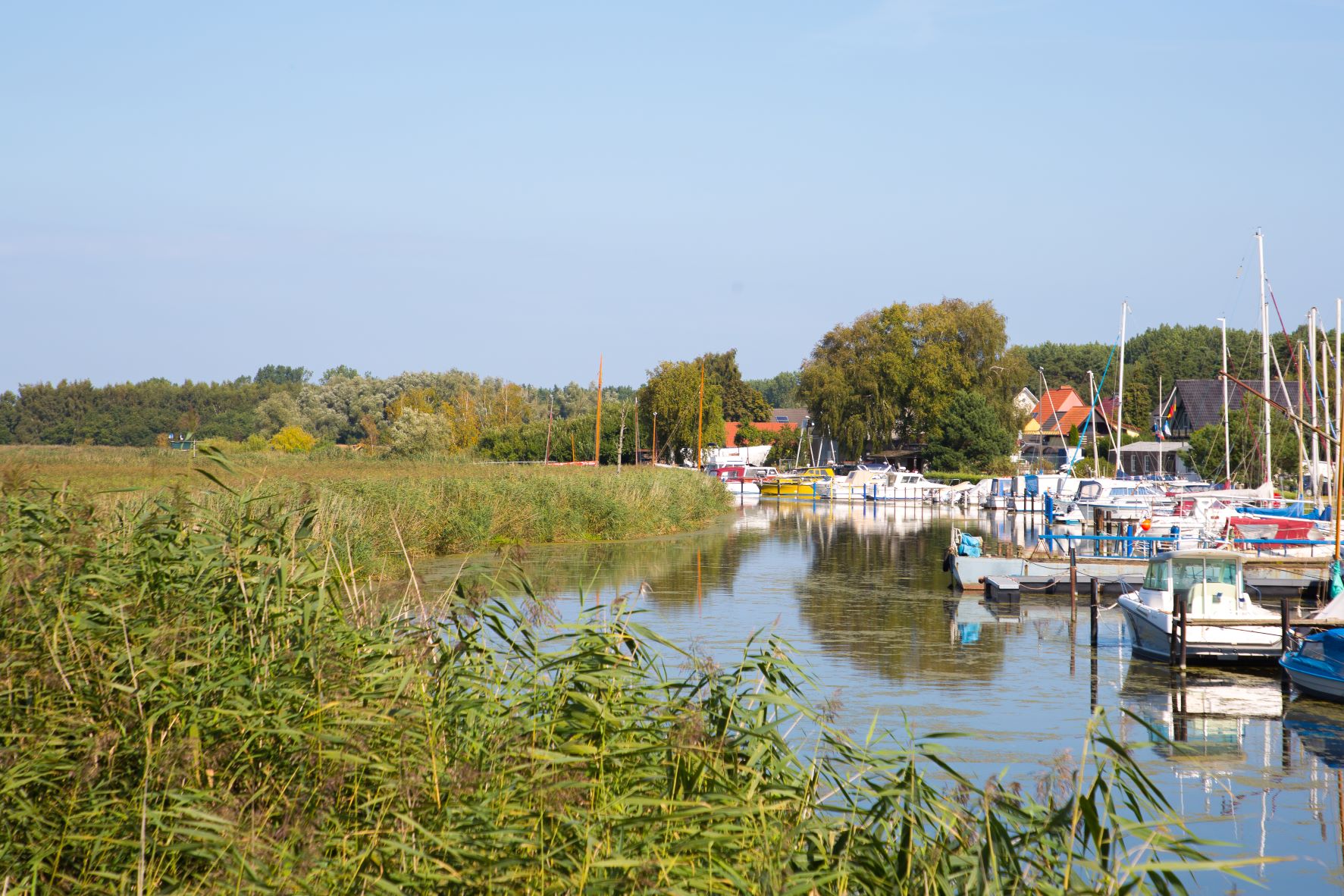 Dirk Rammin boat service