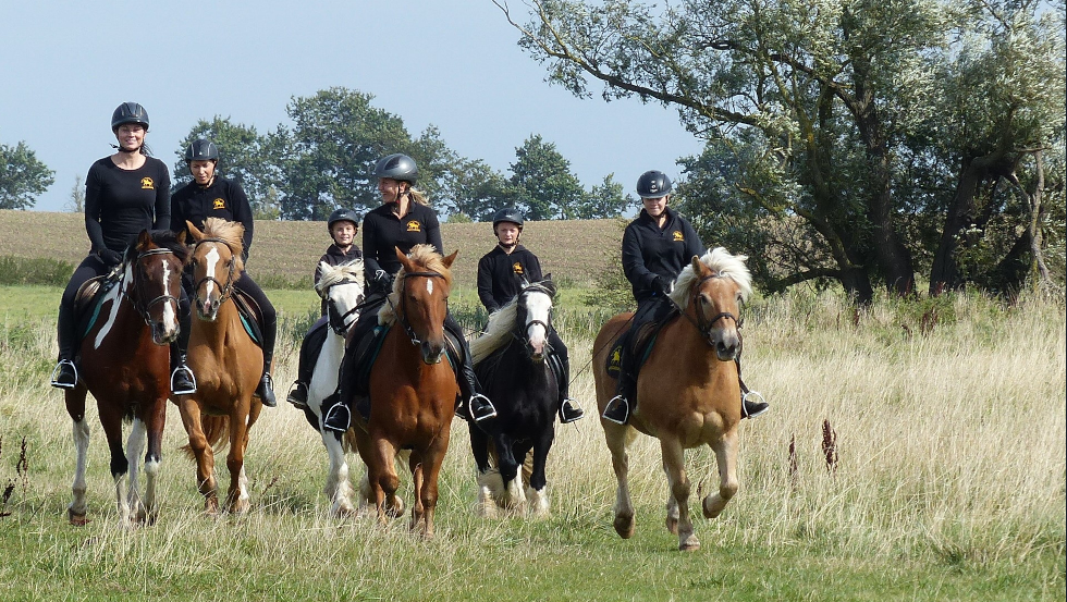 Adventure riding farm Bernsteinreiter Barth